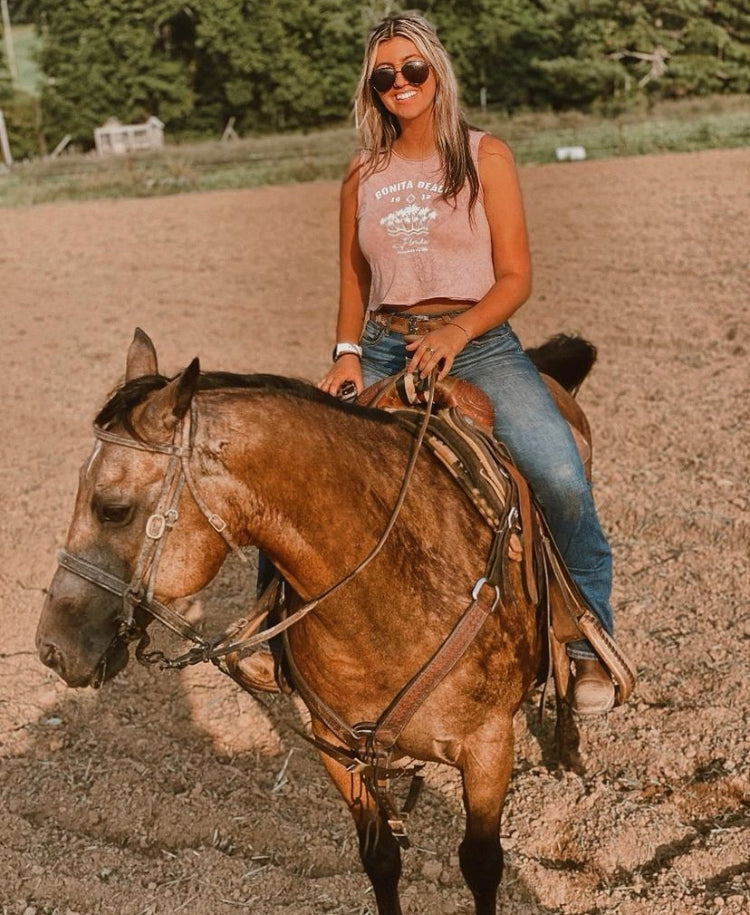 Hold Your Horses – Lydia’s Loves